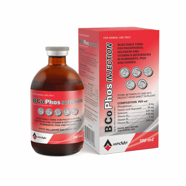 BCo Phos - Bovivet Inc - Antrovet – Bovivet Inc - Livestock Health